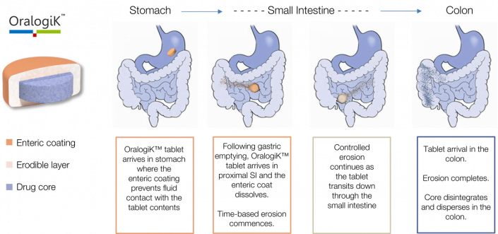Colonic Drug Delivery, Colon Targeted Release System Tablets